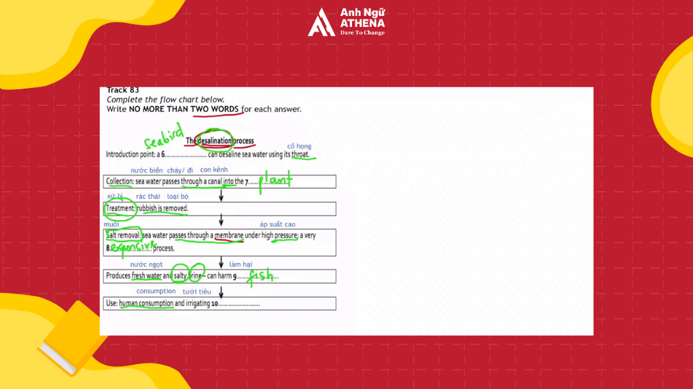 4 bước lấy điểm tuyệt đối dạng Flow Chart Completion - IELTS Listening